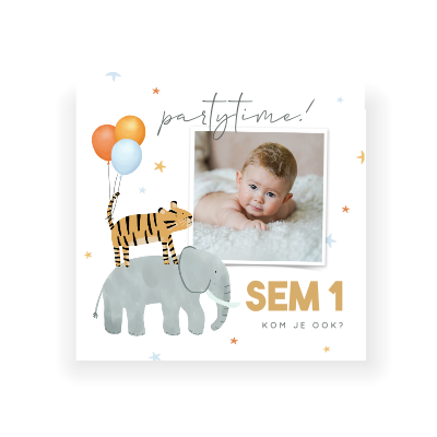 Uitnodiging kinderfeestje 1 jaar met tijger, olifant en eigen foto